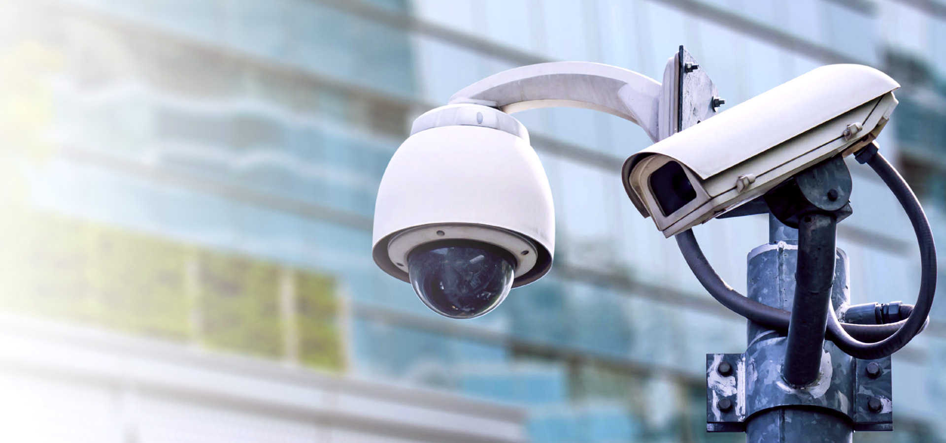 Inicio – Shark Security